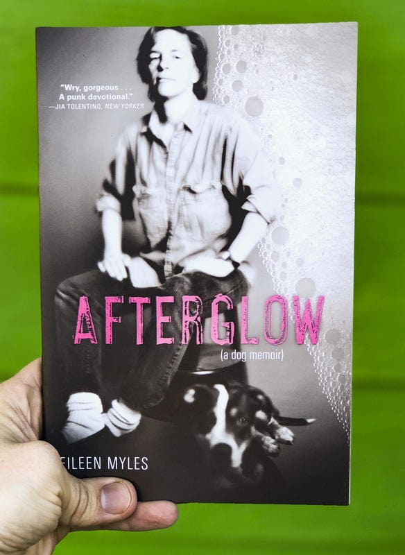 grove-press-books-art-gifts-pets-afterglow-book-9780802128553-mc-23262 ...