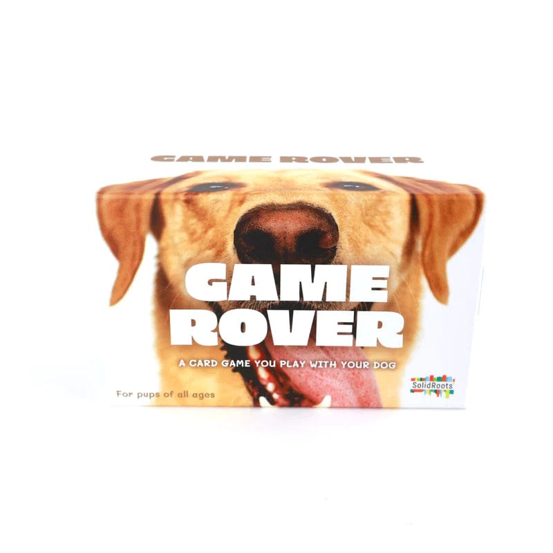 spin-master-tabletop-games-small-box-games-game-rover-850015774577 ...